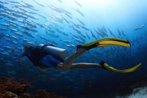 SSI Deep Diving in Hurghada | Advenius