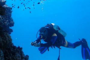 SSI Science of Diving in Hurghada | Advenius