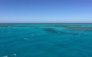 Dive Sites | Advenius