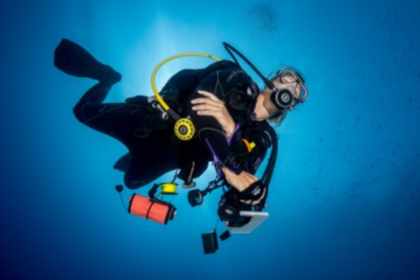 PADI Underwater Navigator in Sharm El-Sheikh | Advenius