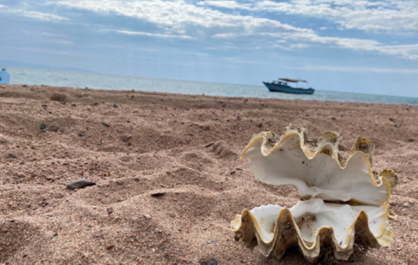 Best Beaches in Dahab for Swimming | Advenius